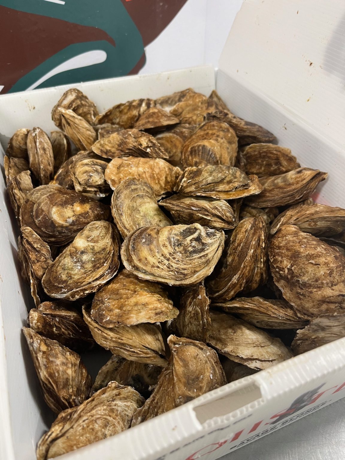 Effing Seafoods - Fresh and Frozen Edmonton, Albetra Seafood Store ...