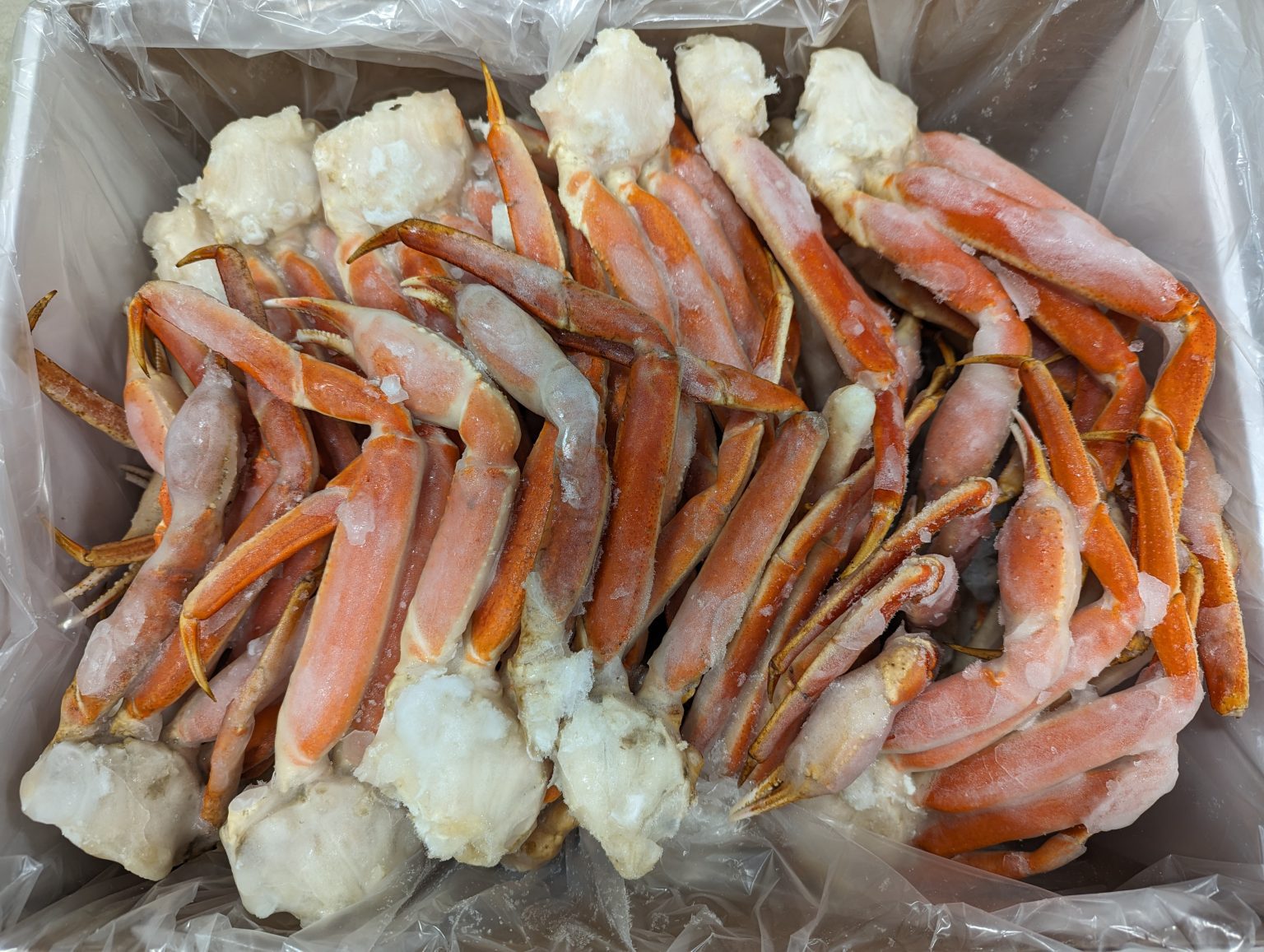 Effing Seafoods - Fresh and Frozen Edmonton, Albetra Seafood Store ...